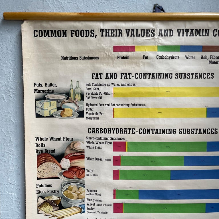 Vintage Midcentury Educational Common Foods Roll Up Chart – cityFoundry