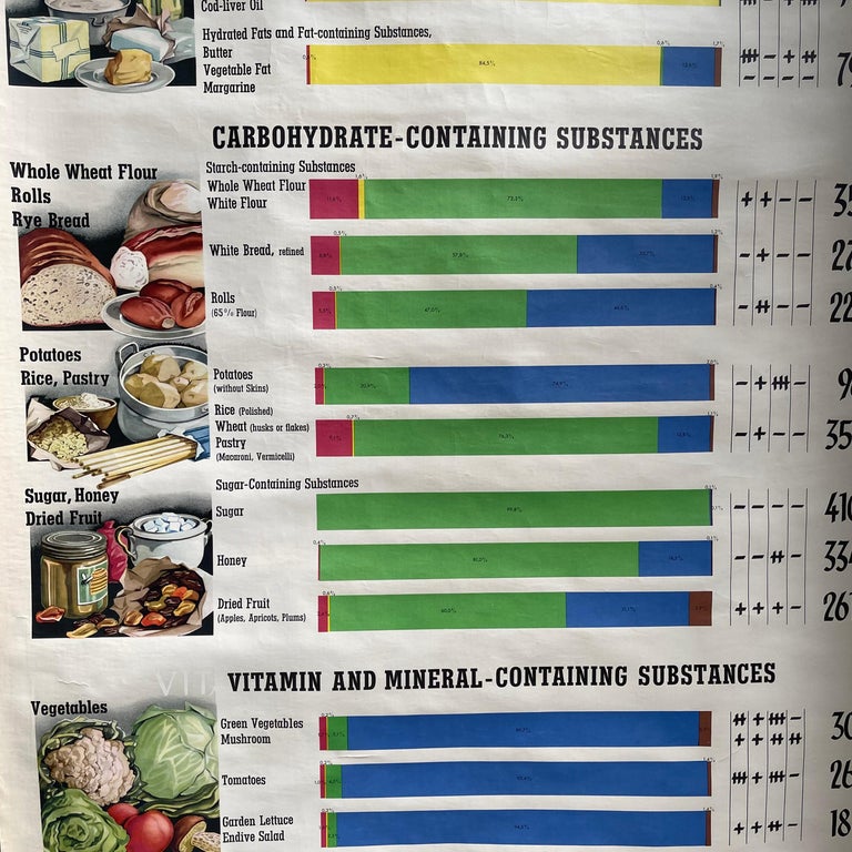 Vintage Midcentury Educational Common Foods Roll Up Chart – cityFoundry